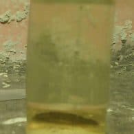 Fuel information - bacteria in fuel